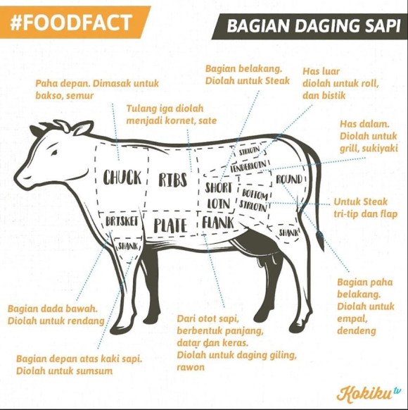 Pro Tips: Teknik2 Masak Daging Sapi dan Ayam – PAYA Meat Tenderizer